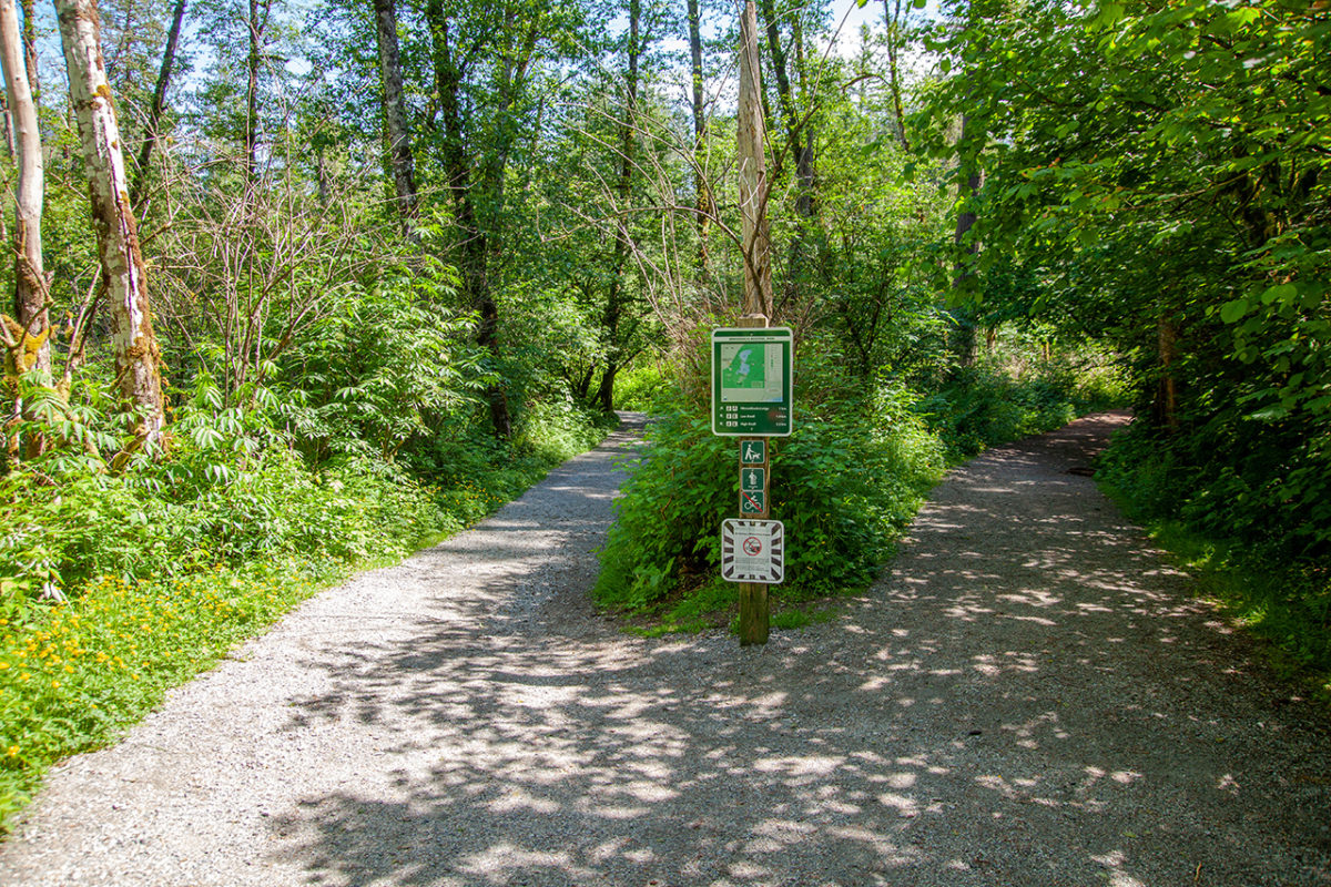 Minnekhada High Knoll Trail, Coquitlam, B.C. – Vibe of Adventure