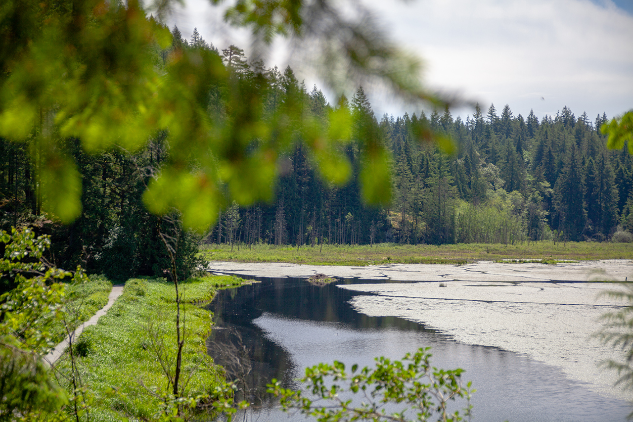 Minnekhada High Knoll Trail, Coquitlam, B.C. – Vibe of Adventure