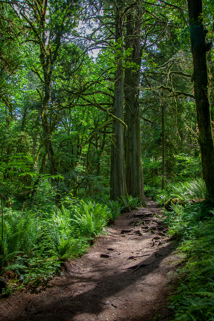 Minnekhada High Knoll Trail, Coquitlam, B.C. – Vibe of Adventure